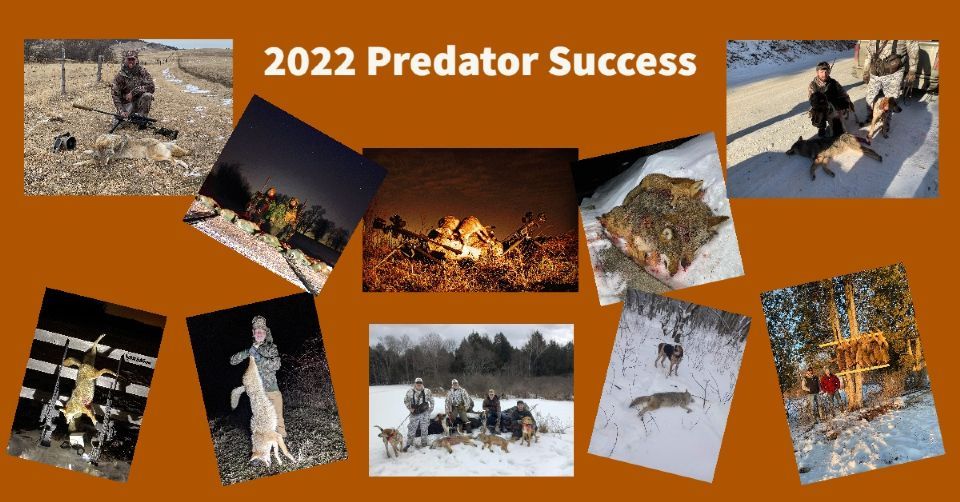 Photo Gallery: 2022 Predator Success | Peterson Cartridge